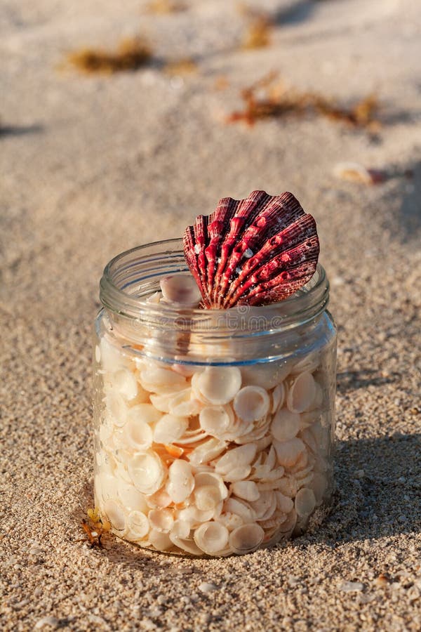 Sea Shell in a Glass Jar on the Beach with Sand and Ocean As a B Stock ...