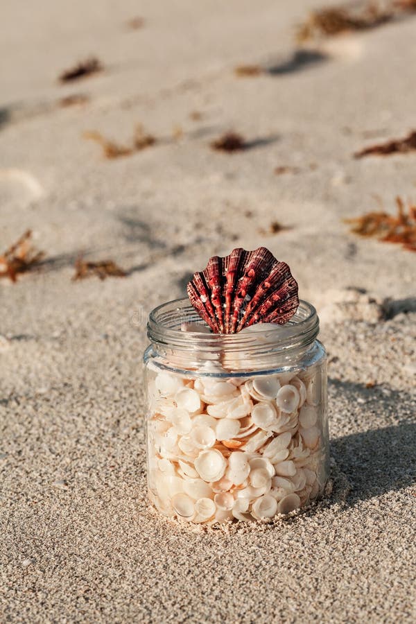 Shells in a Glass Jar on the Sand Beach, Tropical Landscape Stock Photo ...