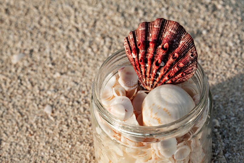 Shells in a Glass Jar on the Sand Beach, Tropical Landscape Stock Image ...