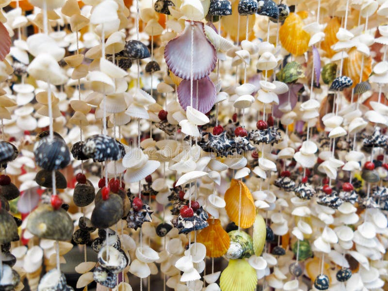 Shells hang in by ropes stock photo. Image of hang, texture - 93671392