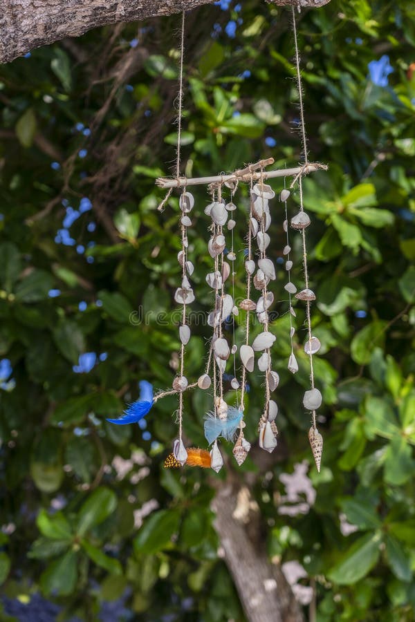 Shells Hanging on Green Leaf Background, Closeup Stock Image - Image of ...
