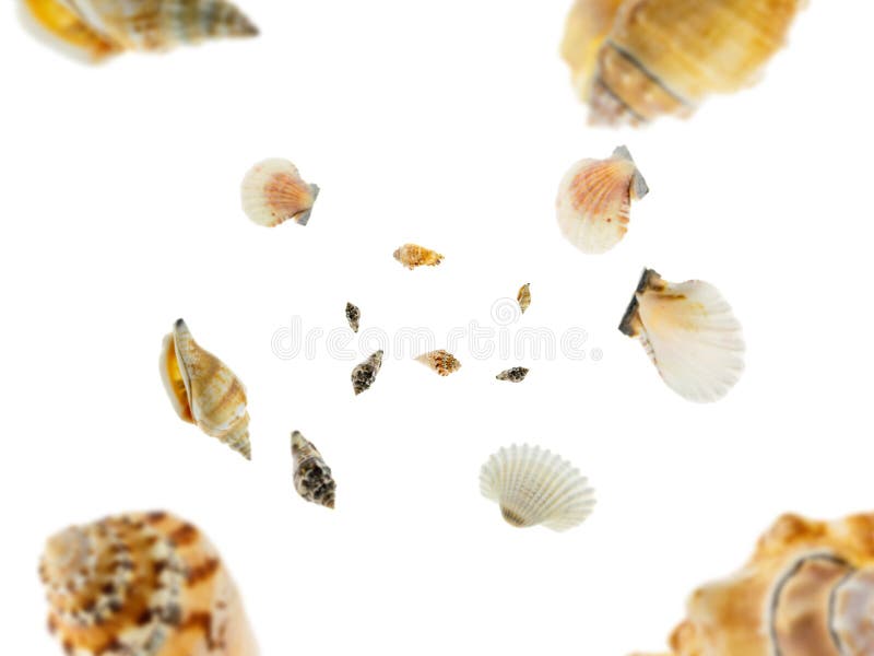 179 Falling Shells Stock Photos - Free & Royalty-Free Stock Photos from ...