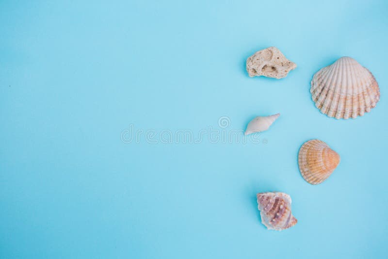 Beachy Banner Stock Photos - Free & Royalty-Free Stock Photos from ...