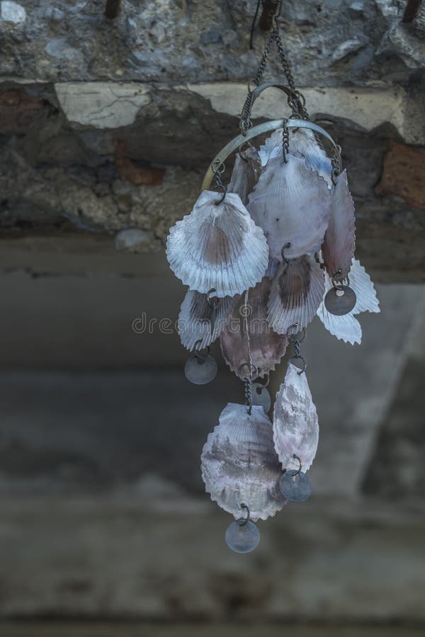 Shells mobile hanging stock photo. Image of variety, animal - 68621736