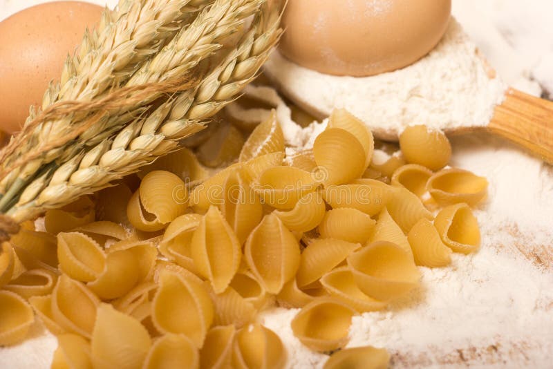 Shells pasta stock image. Image of carbohydrates, macro - 61845709
