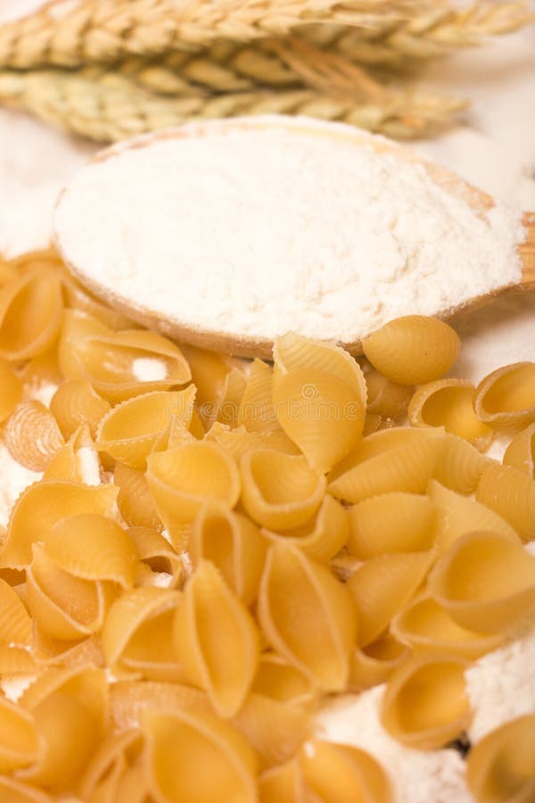 Shells pasta stock photo. Image of closeup, carbohydrate - 61845676