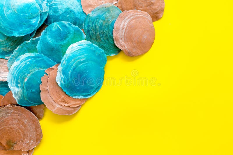 Shells Pattern for Design on Yellow Background Top View Mockup Stock ...