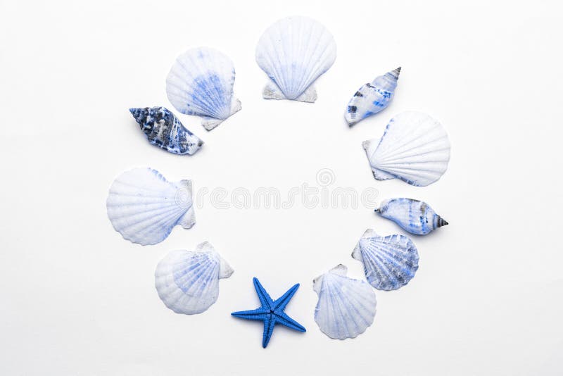 Shells Pattern. Trendy Aquamarine Light Blue Pastel Color Sea Shell ...