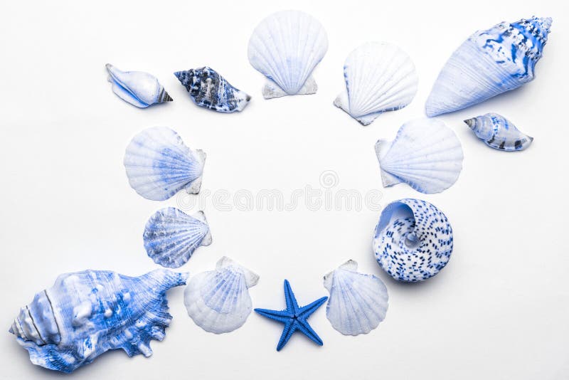 Shells Pattern. Trendy Aquamarine Light Blue Pastel Color Sea Shell ...