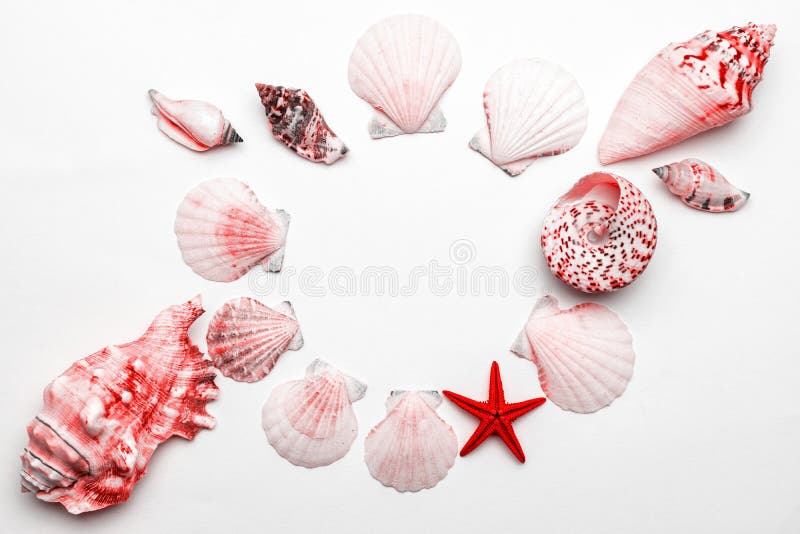 Shells Pattern. Trendy Living Coral Pastel Color Sea Shell on White ...