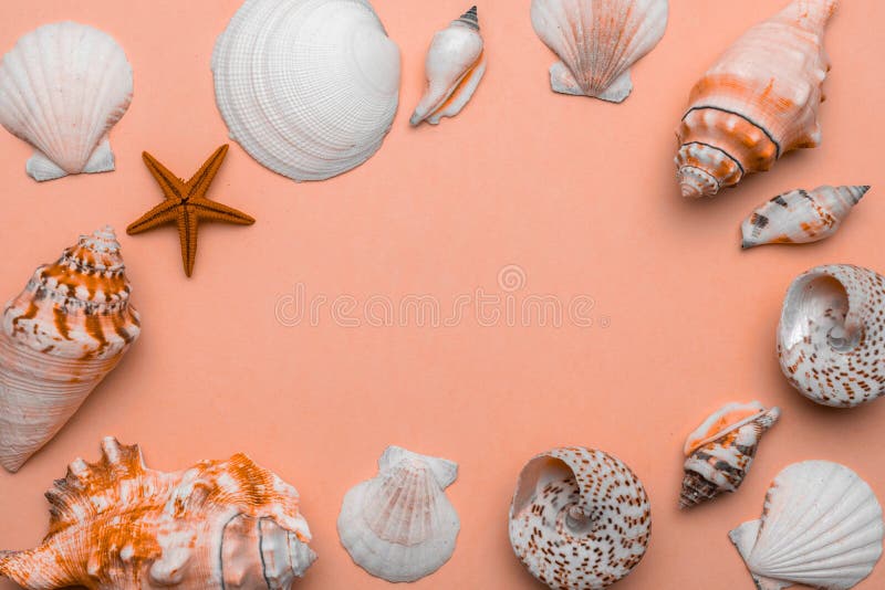 Shells Pattern. Trendy Orange Pastel Color Sea Shell with Starfish and ...