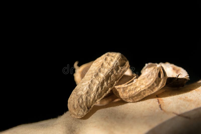 Empty Peanut Shells Stock Photos - Free & Royalty-Free Stock Photos ...