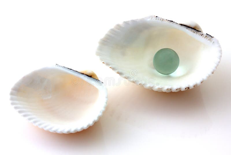 Image of a White Pearl in a Shell on a White Stock Image - Image of ...