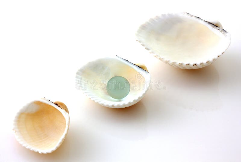 Shells with pearl stock photo. Image of inside, mollusk - 39632036