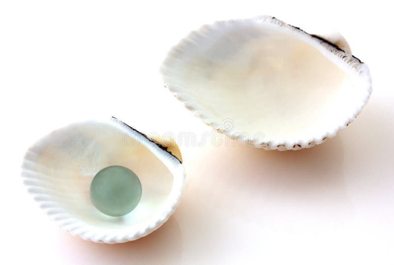 Shells with pearl stock photo. Image of opened, open - 39631972