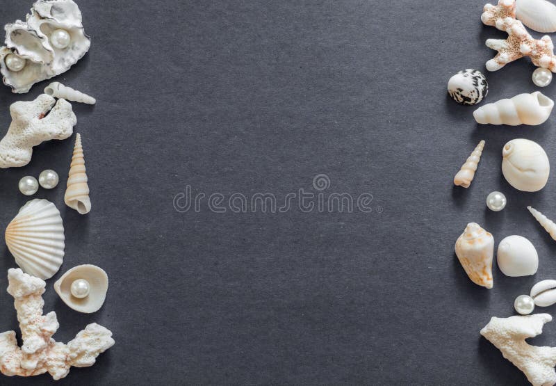 Shells and pearls stock image. Image of coastline, jewelry - 94198621