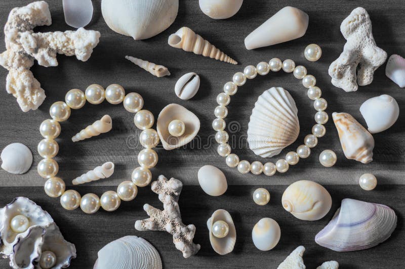 Shells and pearls stock image. Image of painted, board - 94198559