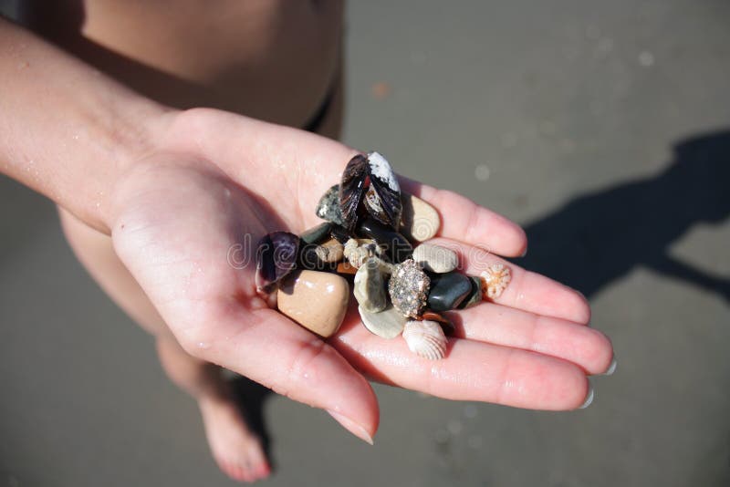 Shells and pebbles stock photo. Image of body, skin, stones - 27039040