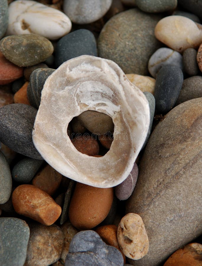Shells and Pebbles Background Stock Image - Image of shore, rock: 4825505