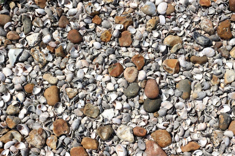 Shingle Beach stock image. Image of background, backdrop - 124269343
