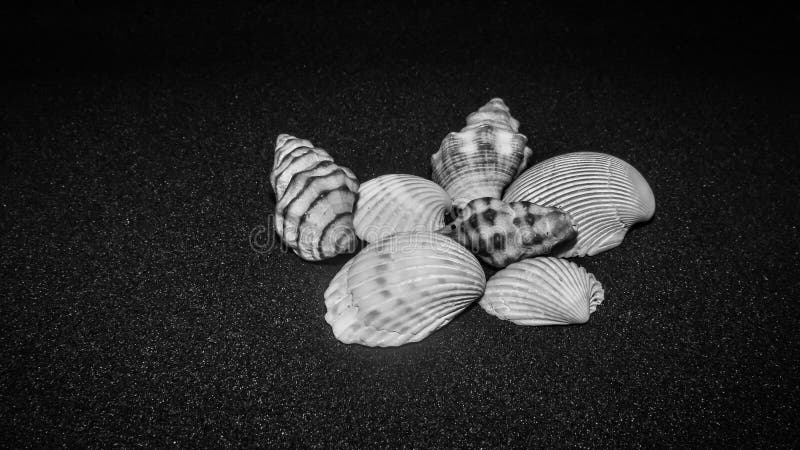 Plain beach scenery stock image. Image of alone, vacation - 4505713