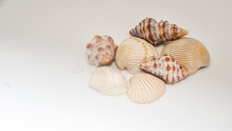 Plain beach scenery stock image. Image of alone, vacation - 4505713