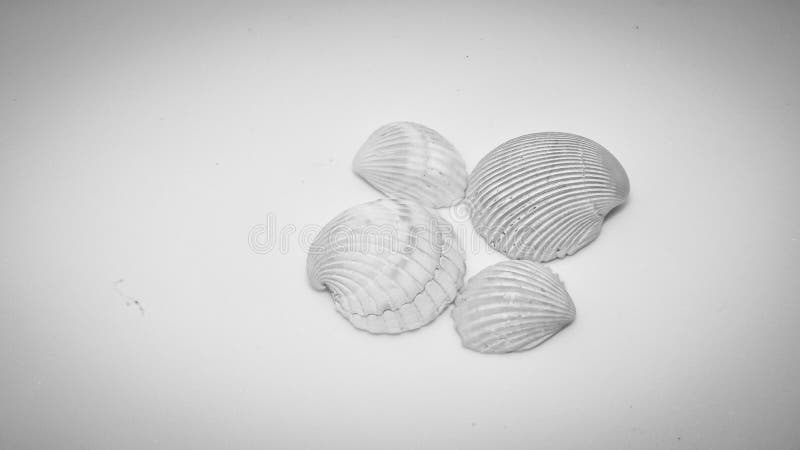 Plain beach scenery stock image. Image of alone, vacation - 4505713