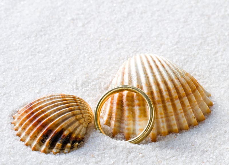 Shells and ring stock photo. Image of gold, matrimony - 31637778