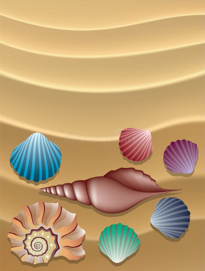 Shells on the sand stock vector. Illustration of curve - 19788752