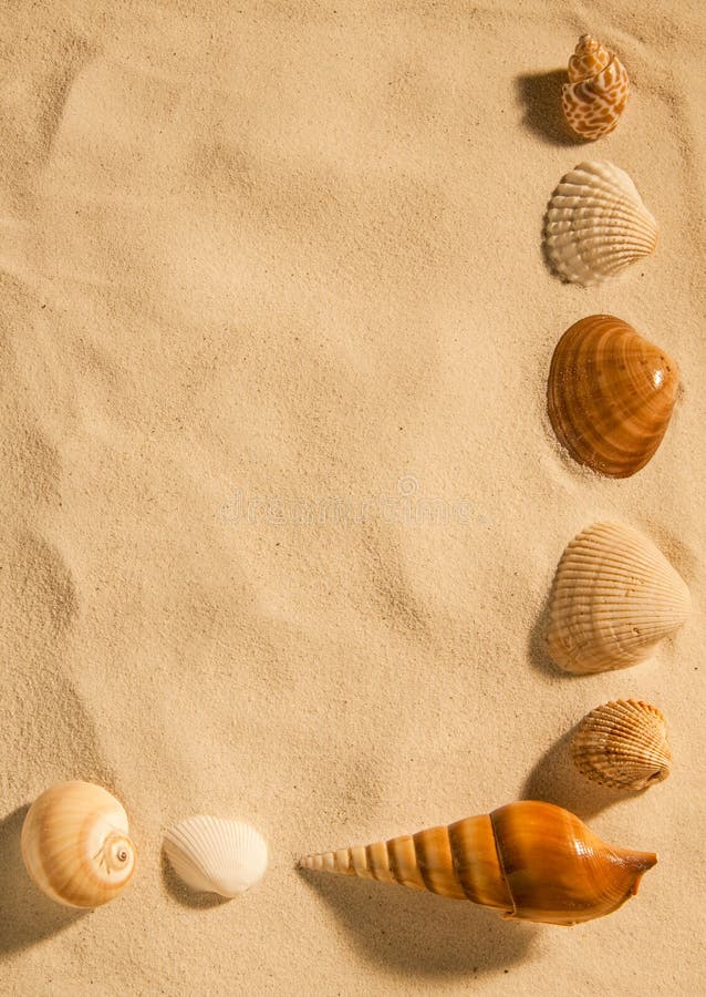 Shells on sand stock image. Image of lines, beautiful - 34954751