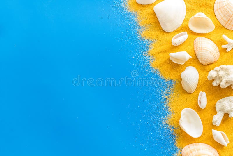 397 Sea Shells Table Mock Up Stock Photos - Free & Royalty-Free Stock ...