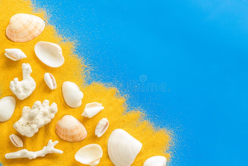 407 Sea Shells Table Mock Up Stock Photos - Free & Royalty-Free Stock ...