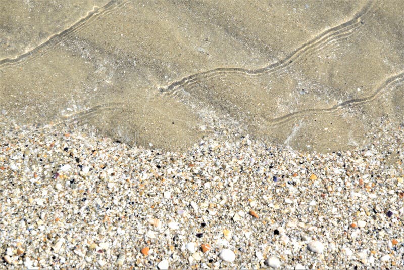Shells, Sand and Water in Punta Sabbioni Venice Stock Image - Image of ...