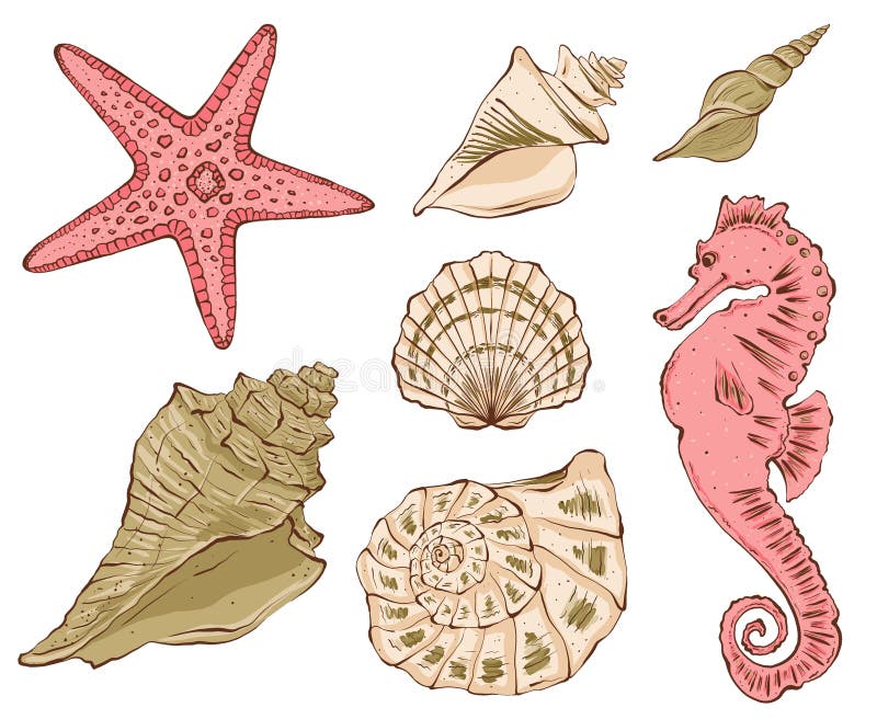 Shells and Sea Animals. Set of Underwater World Elements. Hand Drawn ...