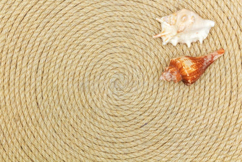 Shells and Sea Network Lie on Background Made of Rope Stock Photo ...