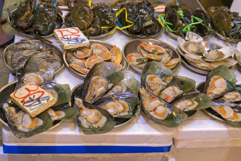 Shells Seafood stock photo. Image of bivalve, market - 159561114