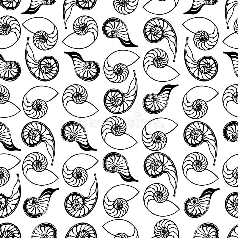 Shells seamless pattern stock vector. Illustration of spiral - 12402809