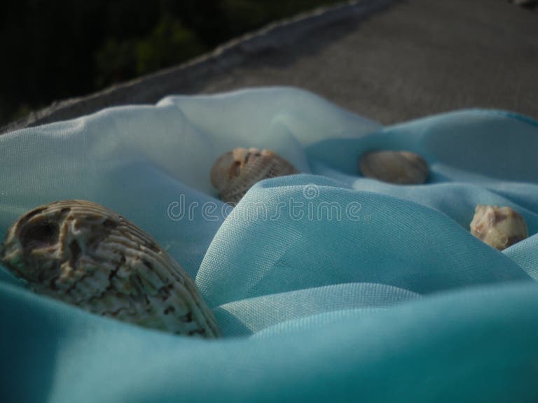 Shells stock image. Image of blue, summer, shells, shawl - 57412531