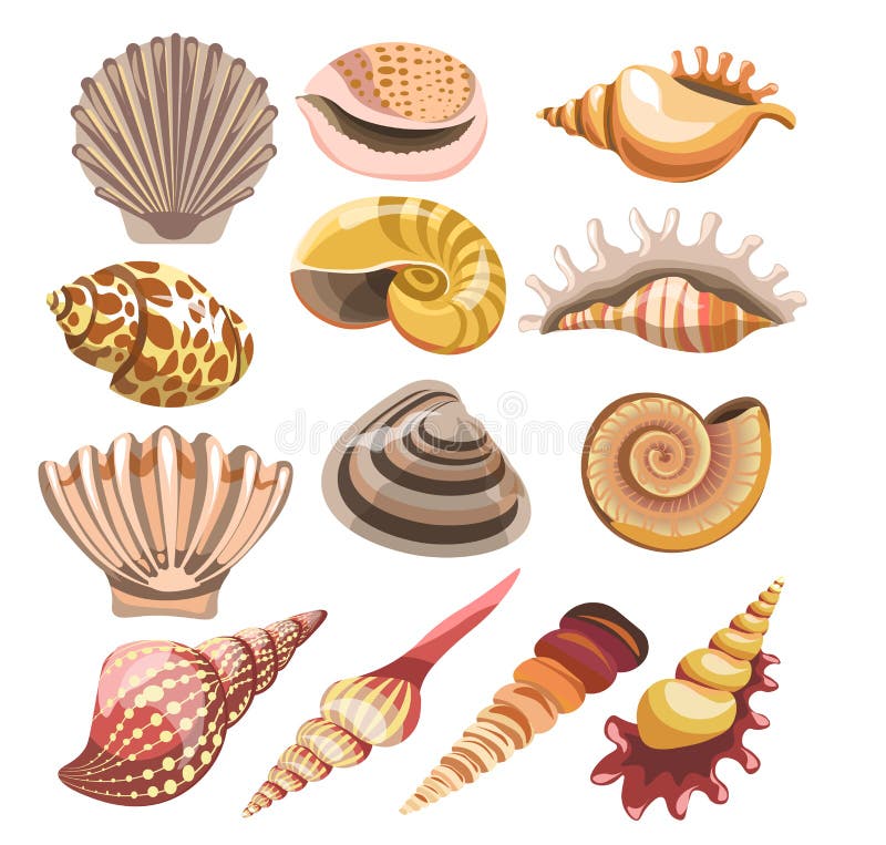 Shells or Seashells Vector Isolated Icons Stock Vector - Illustration ...