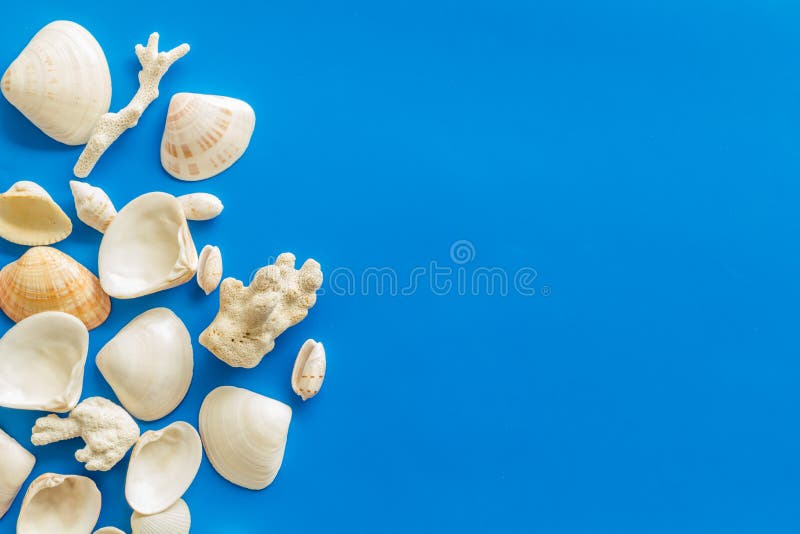 402 Sea Shells Table Mock Up Stock Photos - Free & Royalty-Free Stock ...