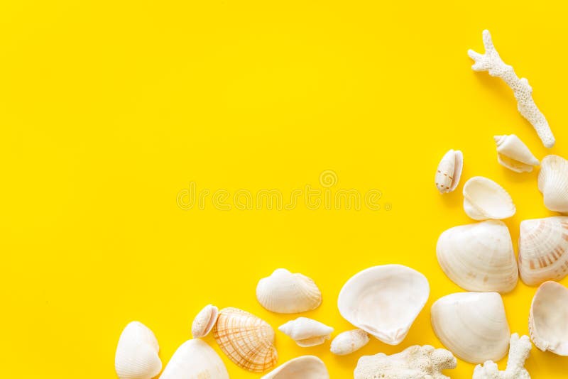 Shells and Seaside Background for Blog or Desktop on Yellow Table Top ...