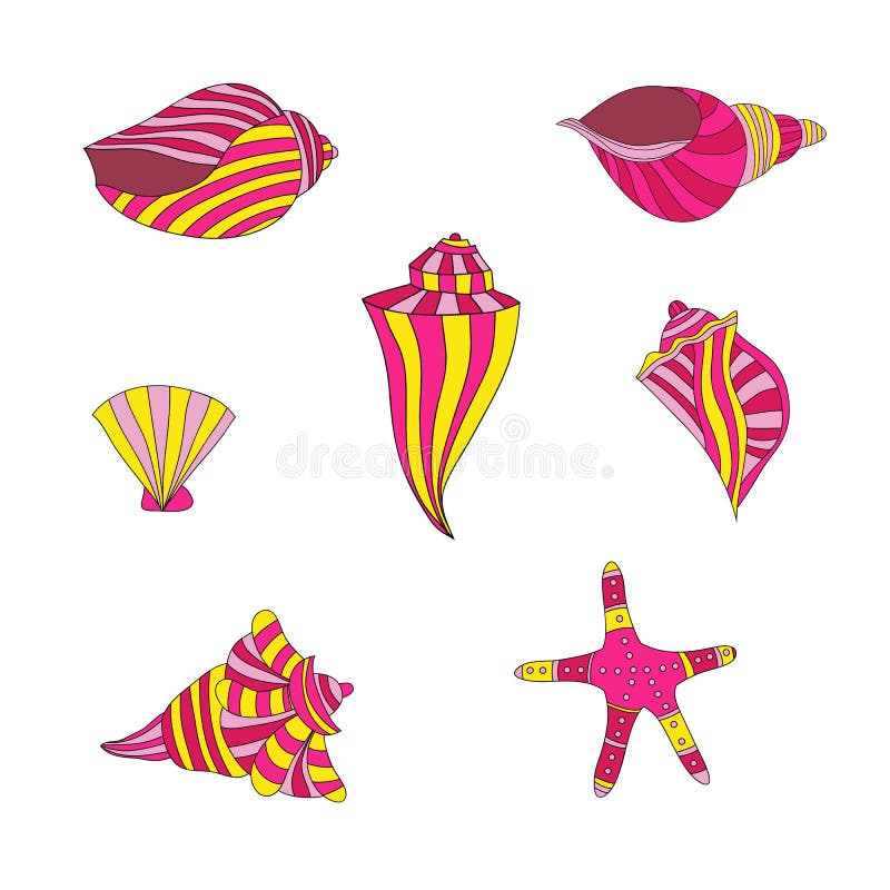 Shells set stock vector. Illustration of doodle, graphic - 66523990