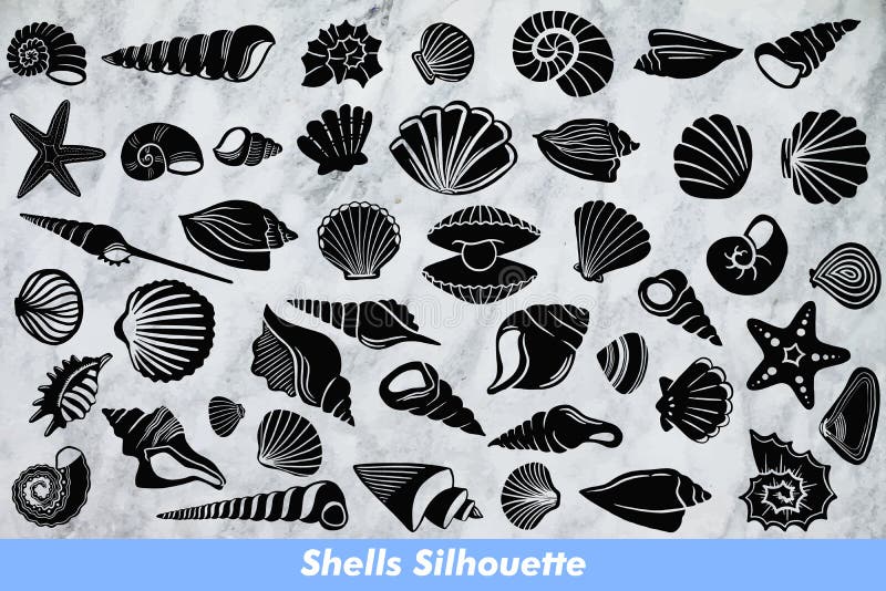 Shells Silhouette stock vector. Illustration of vector - 217517516