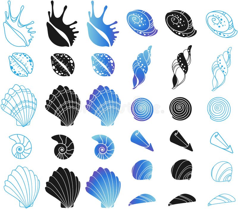 Set of line drawing shells stock vector. Illustration of diving - 44621627