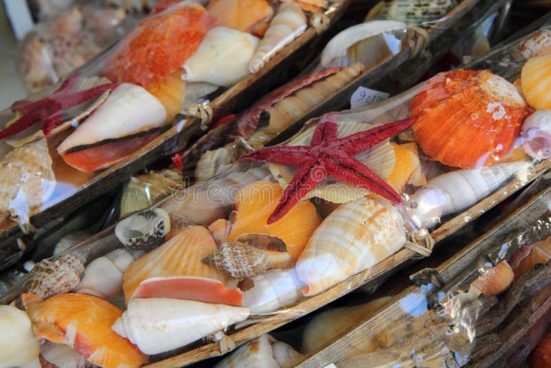 Shells Souvenirs from Greece Stock Image - Image of greece, market ...