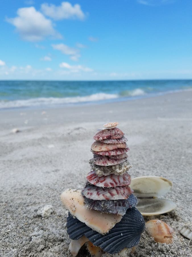 Shells Stacked Near the Water on the Beach Stock Image - Image of sandy ...