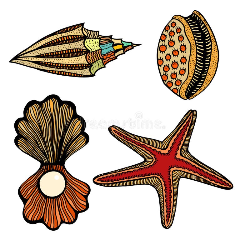 Star Shells Stock Illustrations – 7,648 Star Shells Stock Illustrations ...