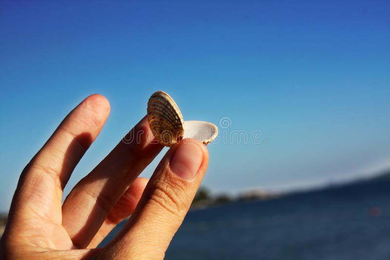 Adriatic sea stock image. Image of landscape, rocky, cliff - 99159727