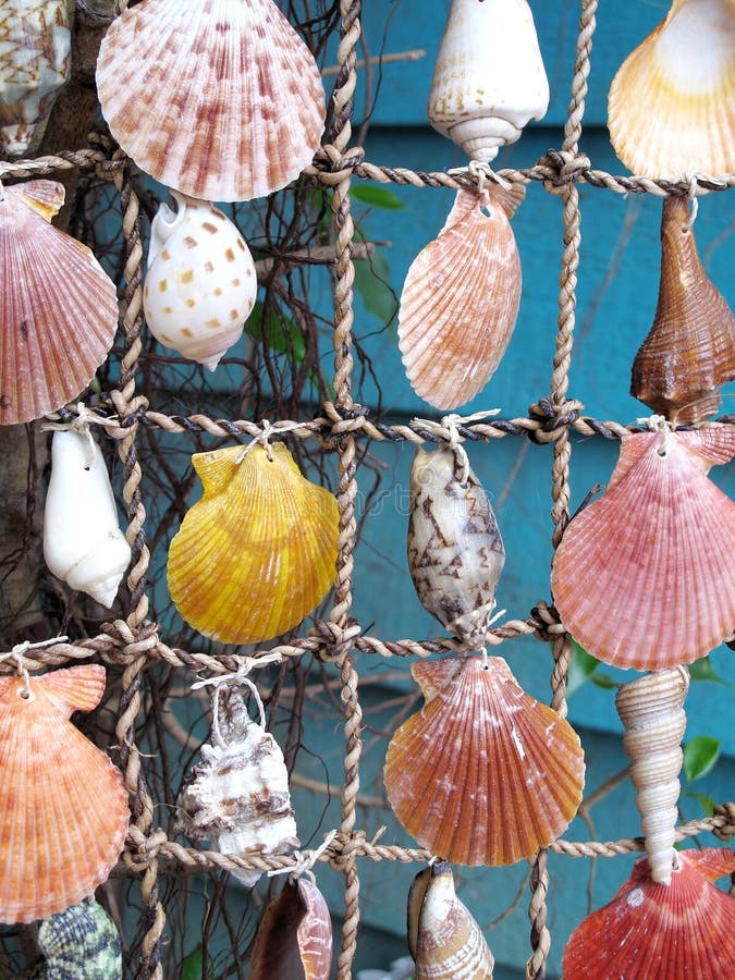 Bold Color Shells stock photo. Image of color, blue, pattern - 26732562