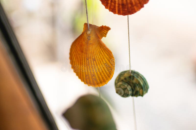 Shells Strung with a Hanging Rope Stock Image - Image of brown, home ...